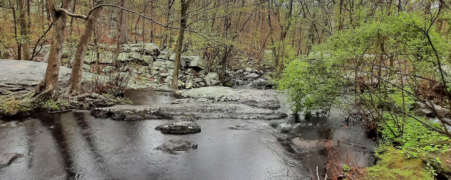 Melanie Schuck - Trail-A-Thon: 102 Miles for 102 Years