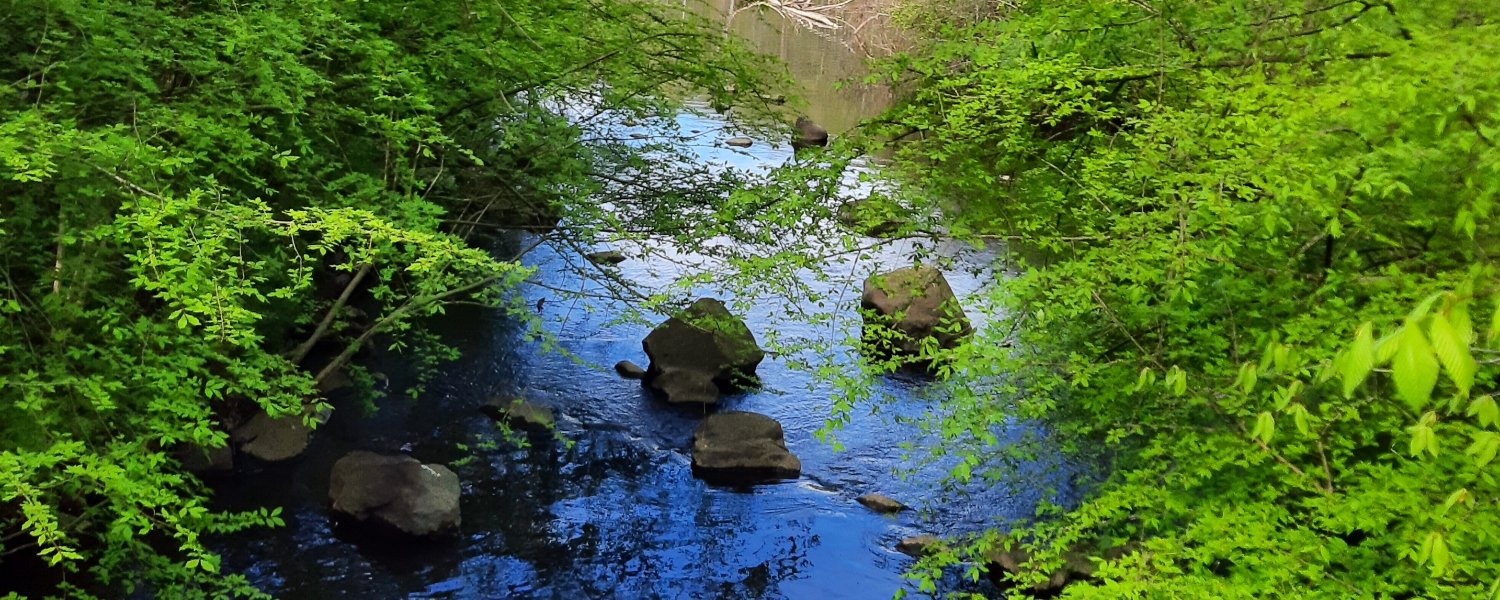 Melanie Schuck - Trail-A-Thon: 102 Miles for 102 Years