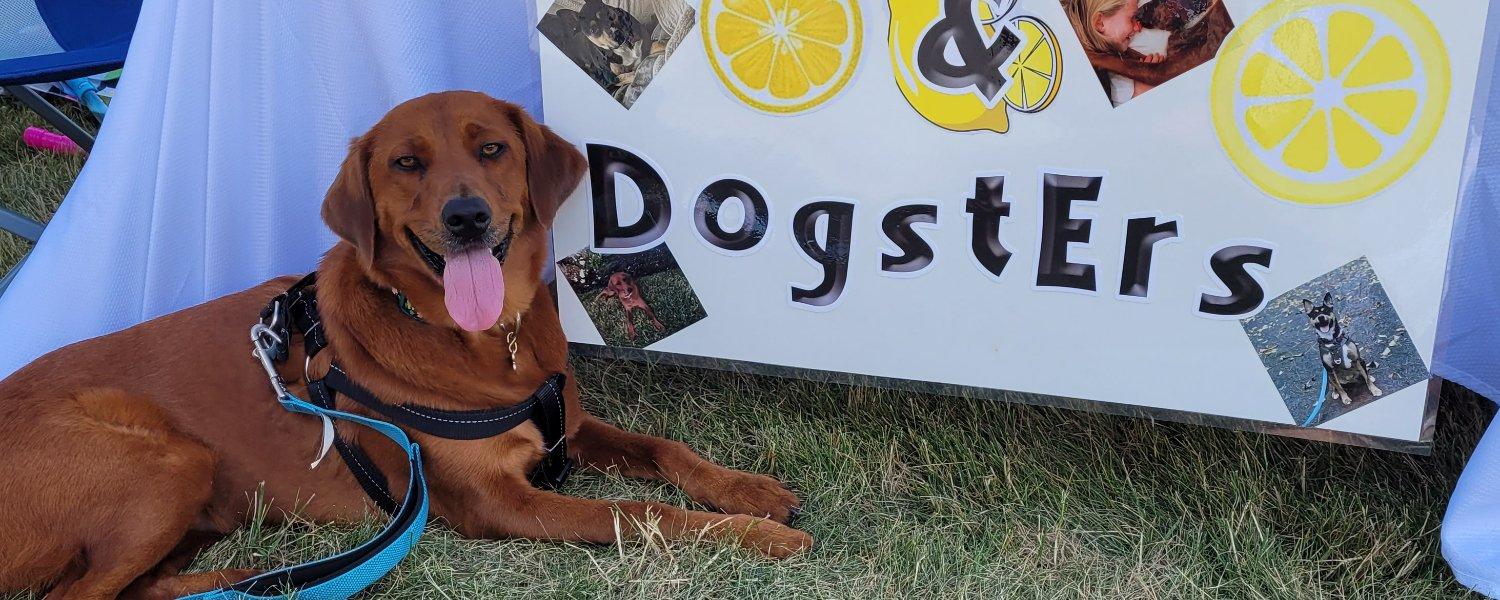 Rubi's Racers - PetPromise Rescue Run